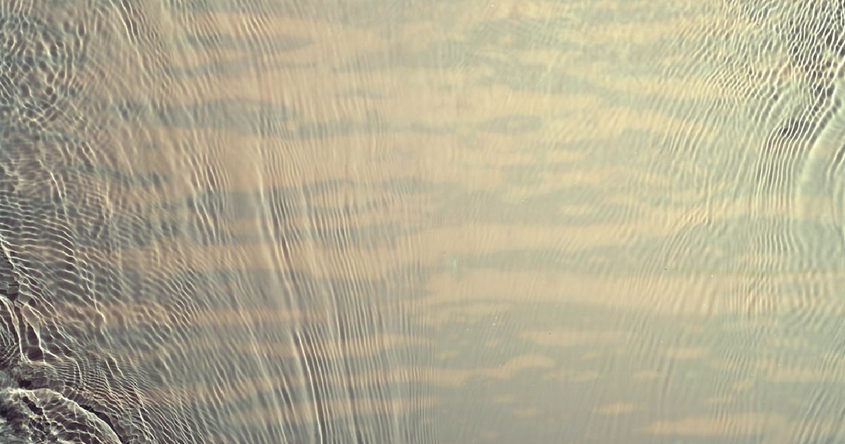 Susan Derges: Dartmoor: A Radical Landscape at RAMM | Purdy Hicks Gallery